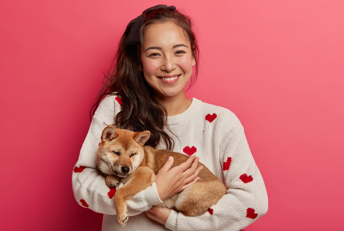 Everything you need to know about owning a Shiba Inu – Pets' Station