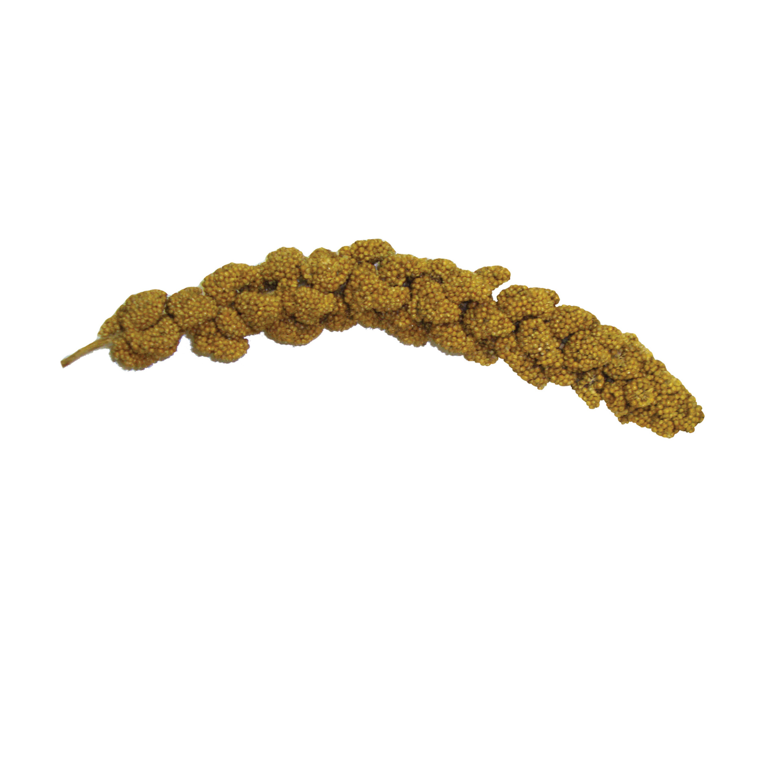 Extreme Natural Millet Spray Pets Station