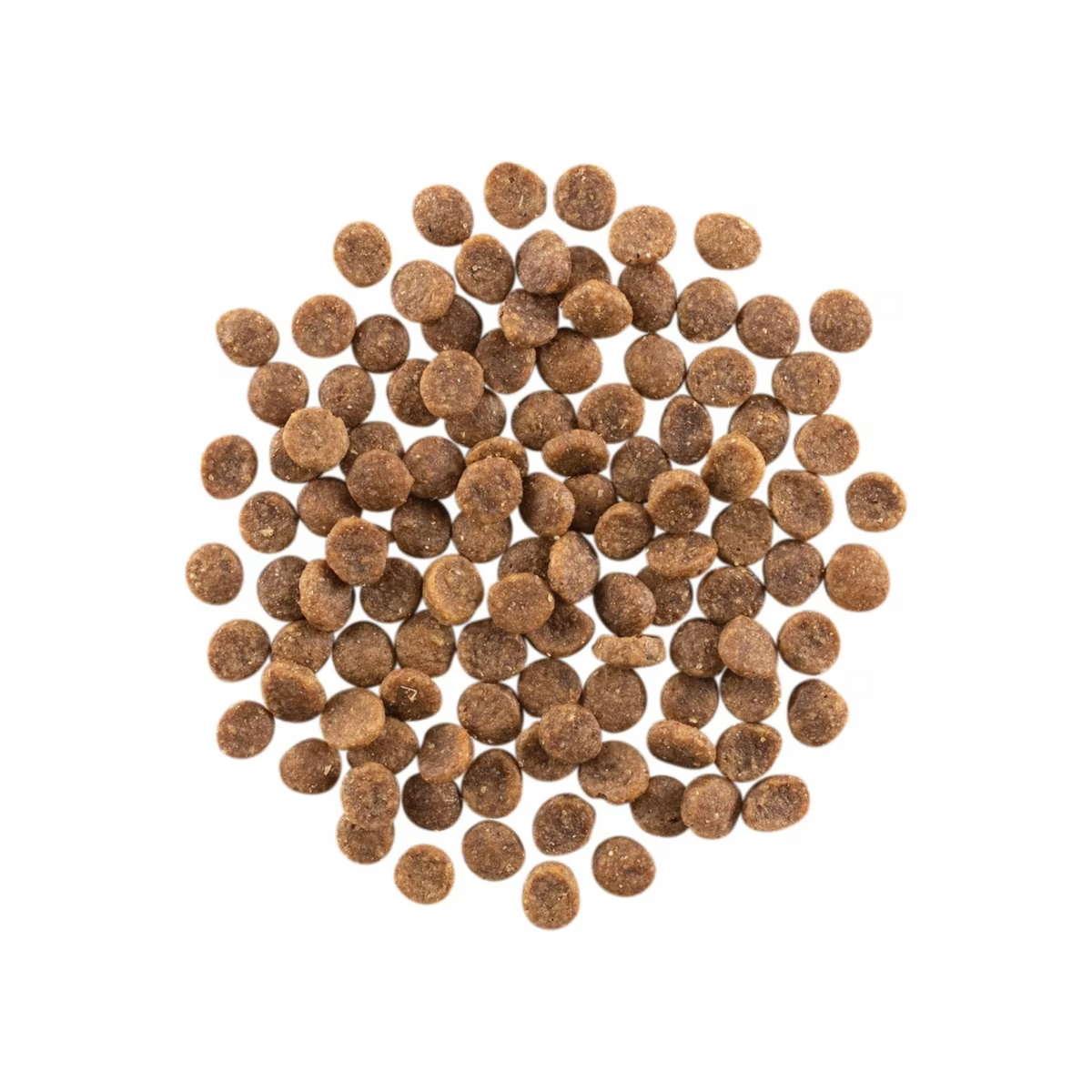 Go! Solution Carnivore Grain-Free Salmon + Cod Recipe Cat Dry Food ...