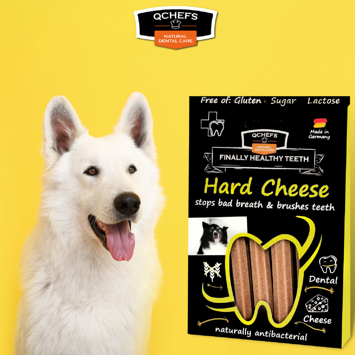 Qchefs Hard Cheese Dog Dental Chews – Pets' Station