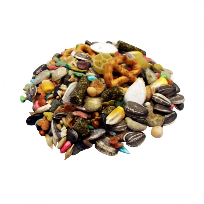 Brown's Encore Gourmet Foraging Feast Parrot Food – Pets' Station