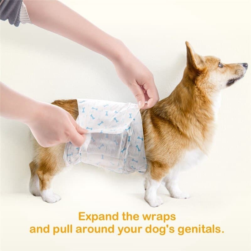 Dono Disposable Male Wrap – Pets' Station