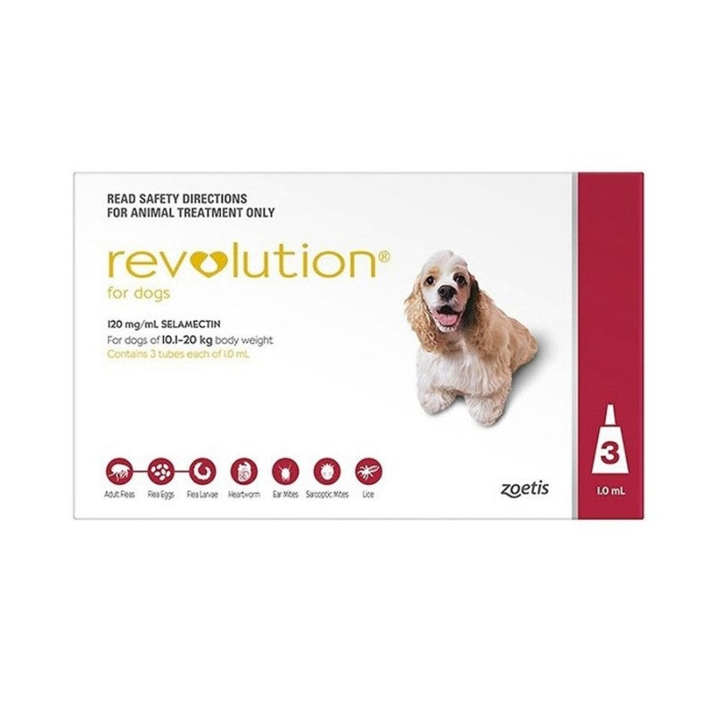 Revolution For Dogs 10.1kg-20kg (Red) Dog Medication – Pets' Station