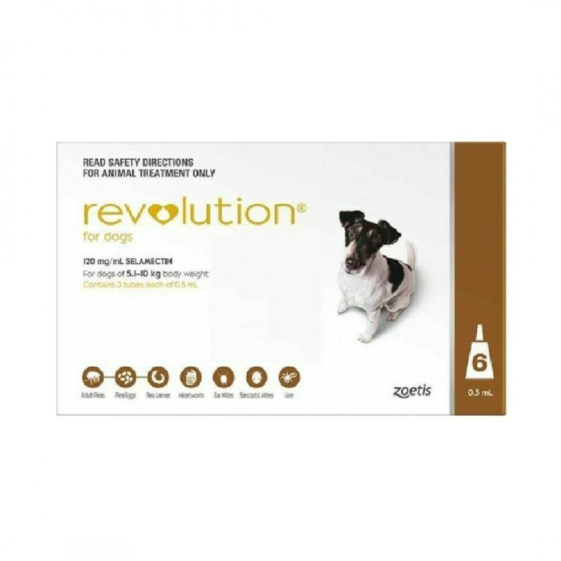 Revolution For Dog 5.1kg-10kg (Brown) Dog Medication – Pets' Station