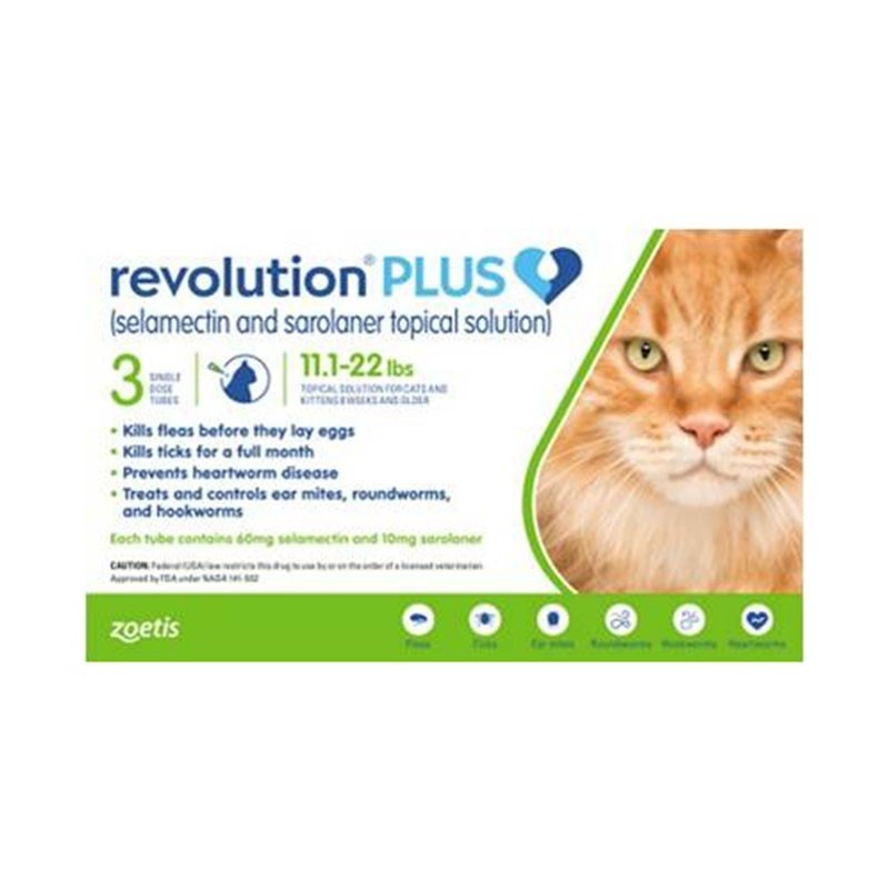 Revolution Plus For Cats 5kg - 10kg (Green) Cat Medication – Pets' Station